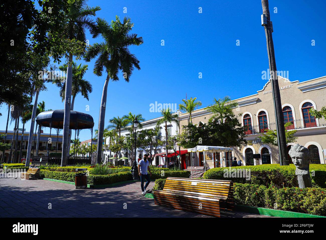 Albert Einstein, stone bust in the plaza in Mazatlan, Sinaloa. Machado ...