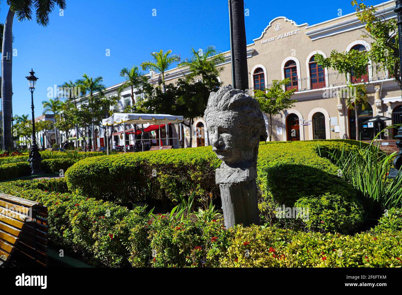 Albert Einstein, stone bust in the plaza in Mazatlan, Sinaloa. Machado ...