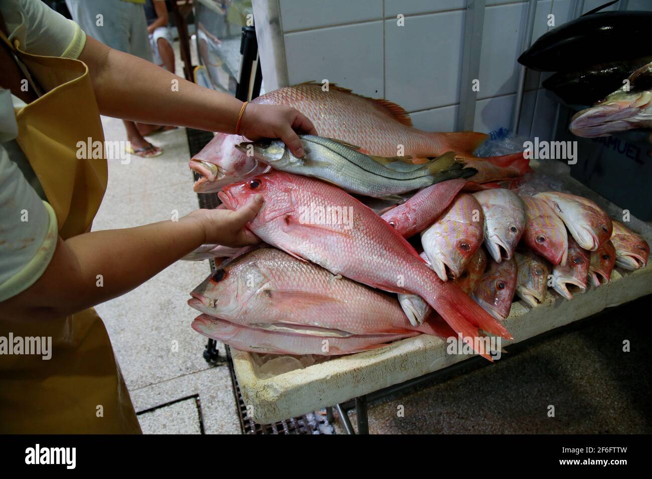 Agua gourmet hi-res stock photography and images - Alamy