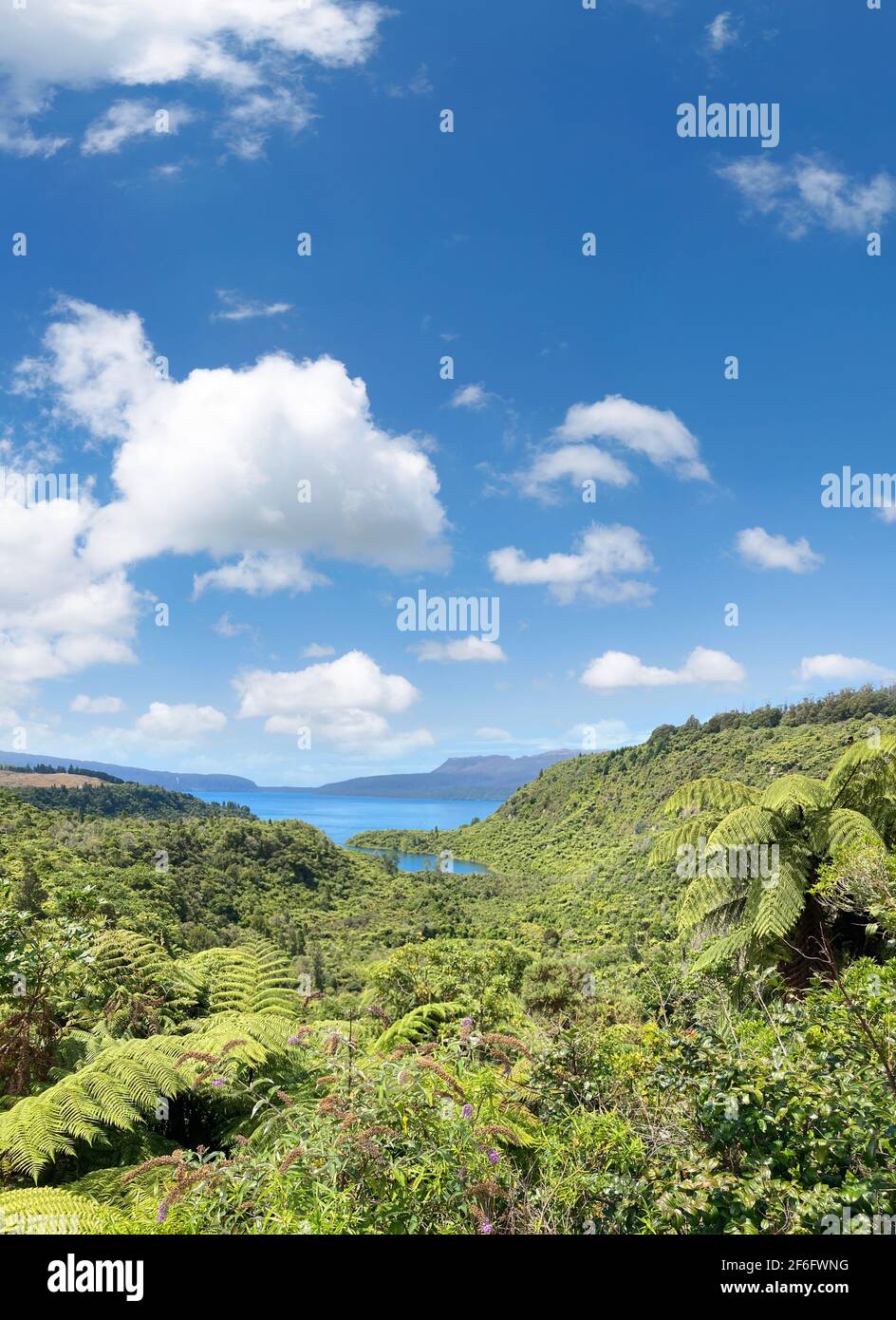 New zealand lake tarawera hi-res stock photography and images - Alamy