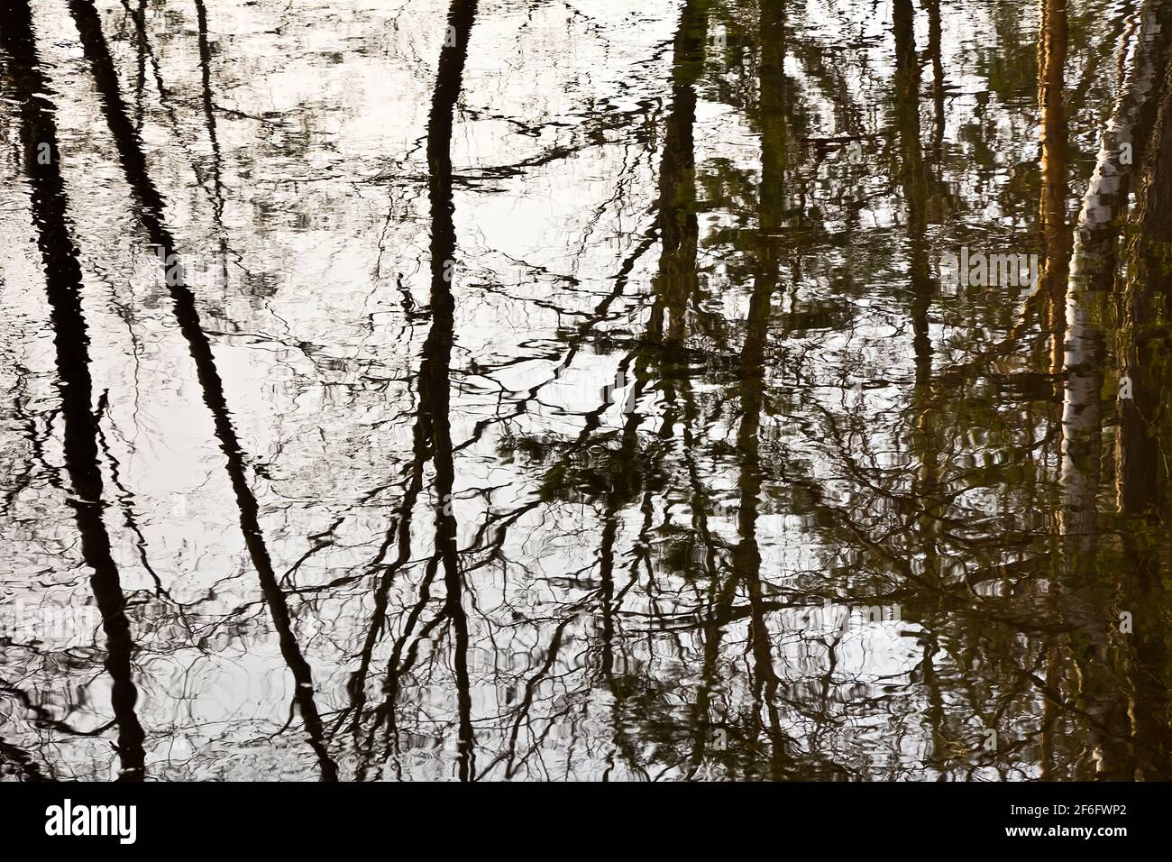 Reflection of trees in flowing water Stock Photo - Alamy