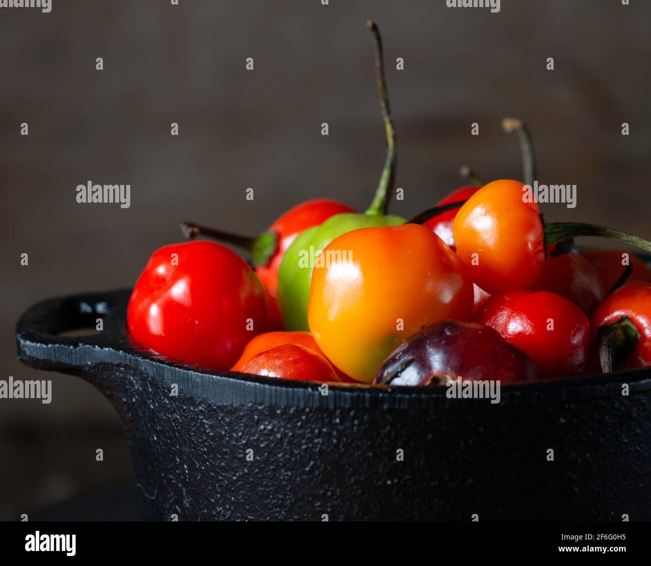 bode, Brazilian chili pepper Stock Photo - Alamy