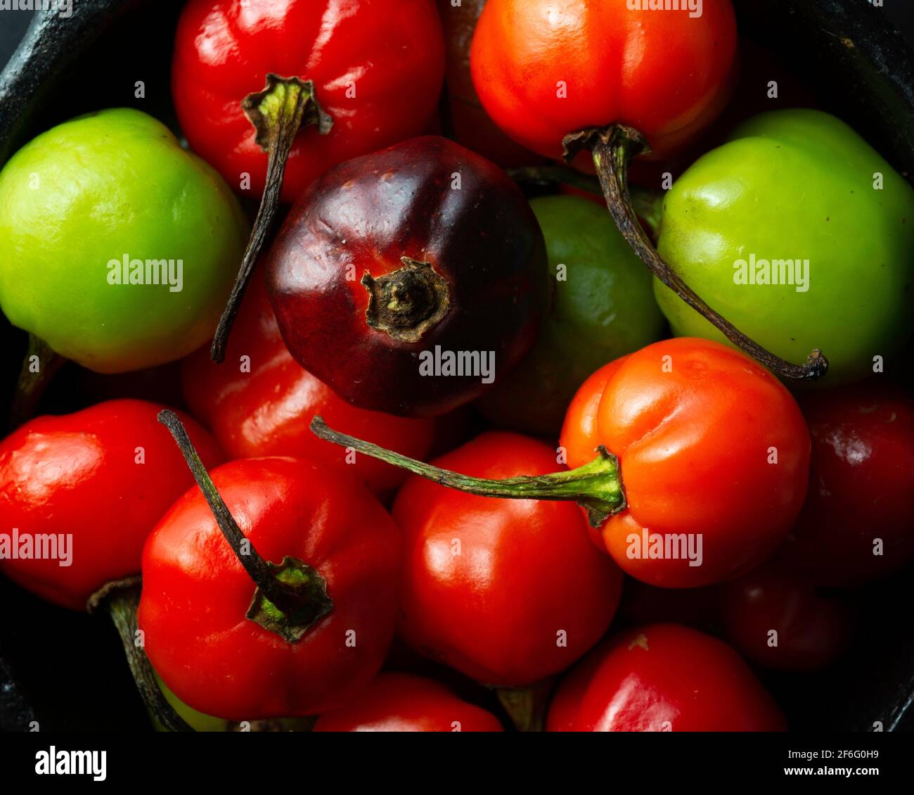 bode, Brazilian chili pepper Stock Photo - Alamy