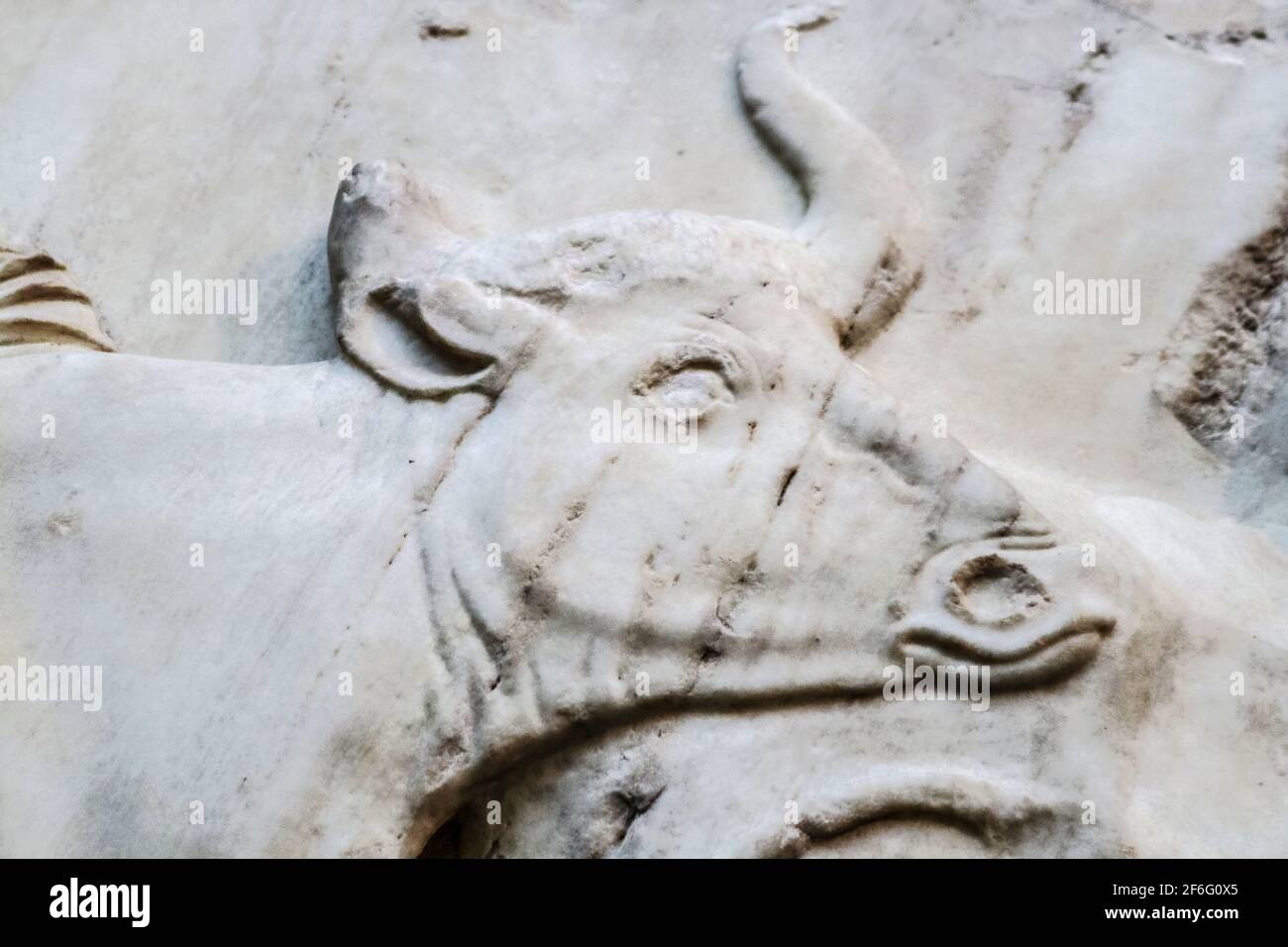 Horned cow head bas-relief marble sculpture from ancient Greece ...
