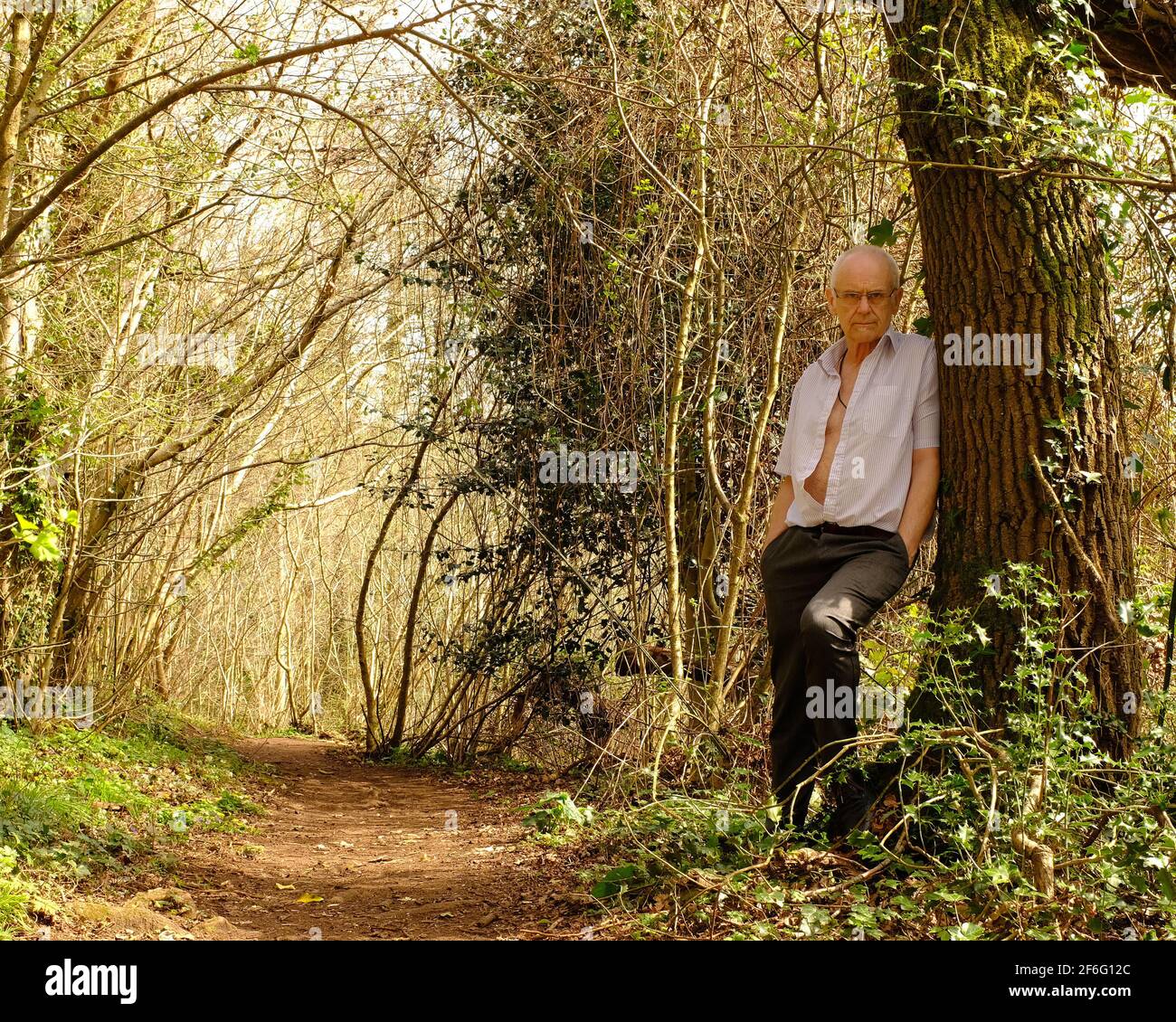 March 2021 - Mature man standing by a tree in the woods Stock Photo - Alamy