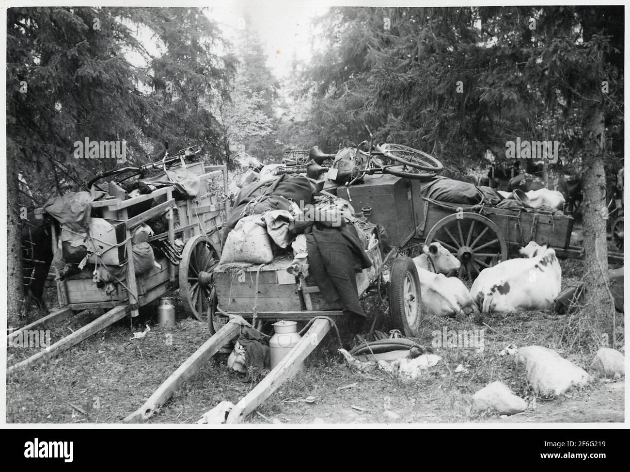 Carts loaded with Finnish refugees' belongings, Haparanda, in the ...