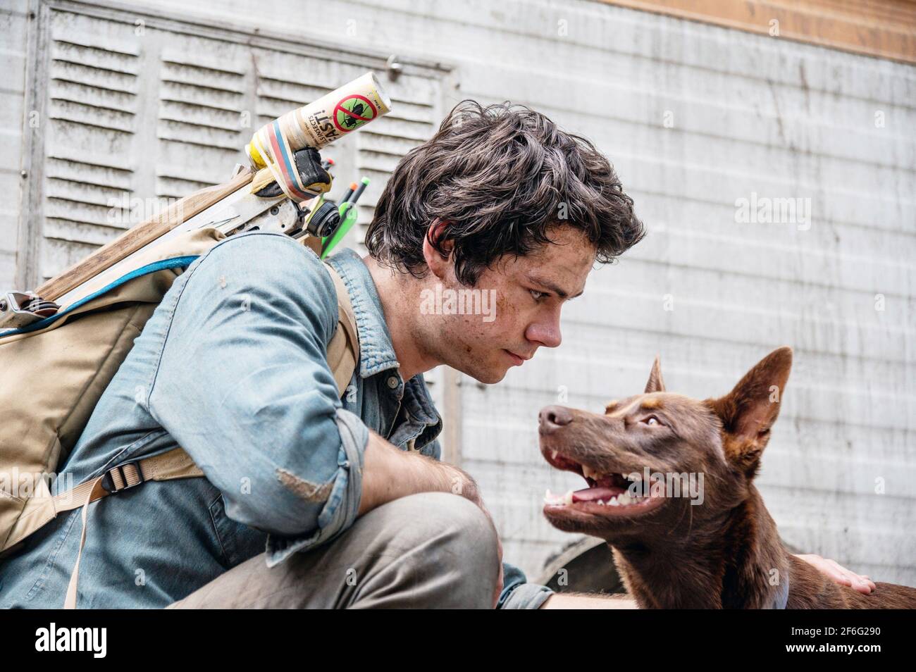 LOVE AND MONSTERS, (aka LOVE & MONSTERS), Dylan O'Brien, 2020. ph ...