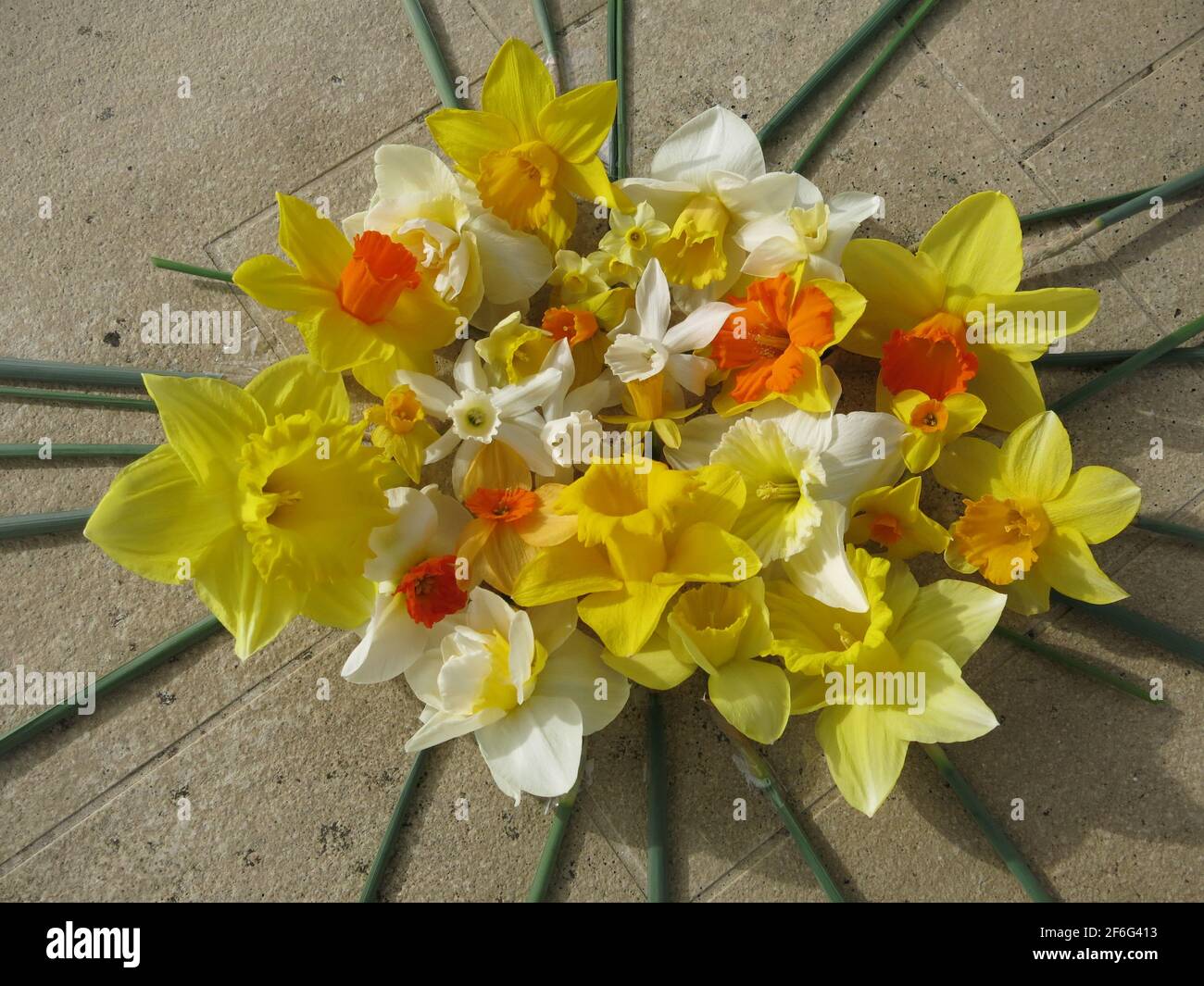 Table-top floral arrangement in the shape of a wheel with a mass of ...