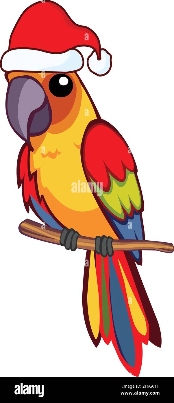 Parrot with christmas cap vector illustration isolated on white ...