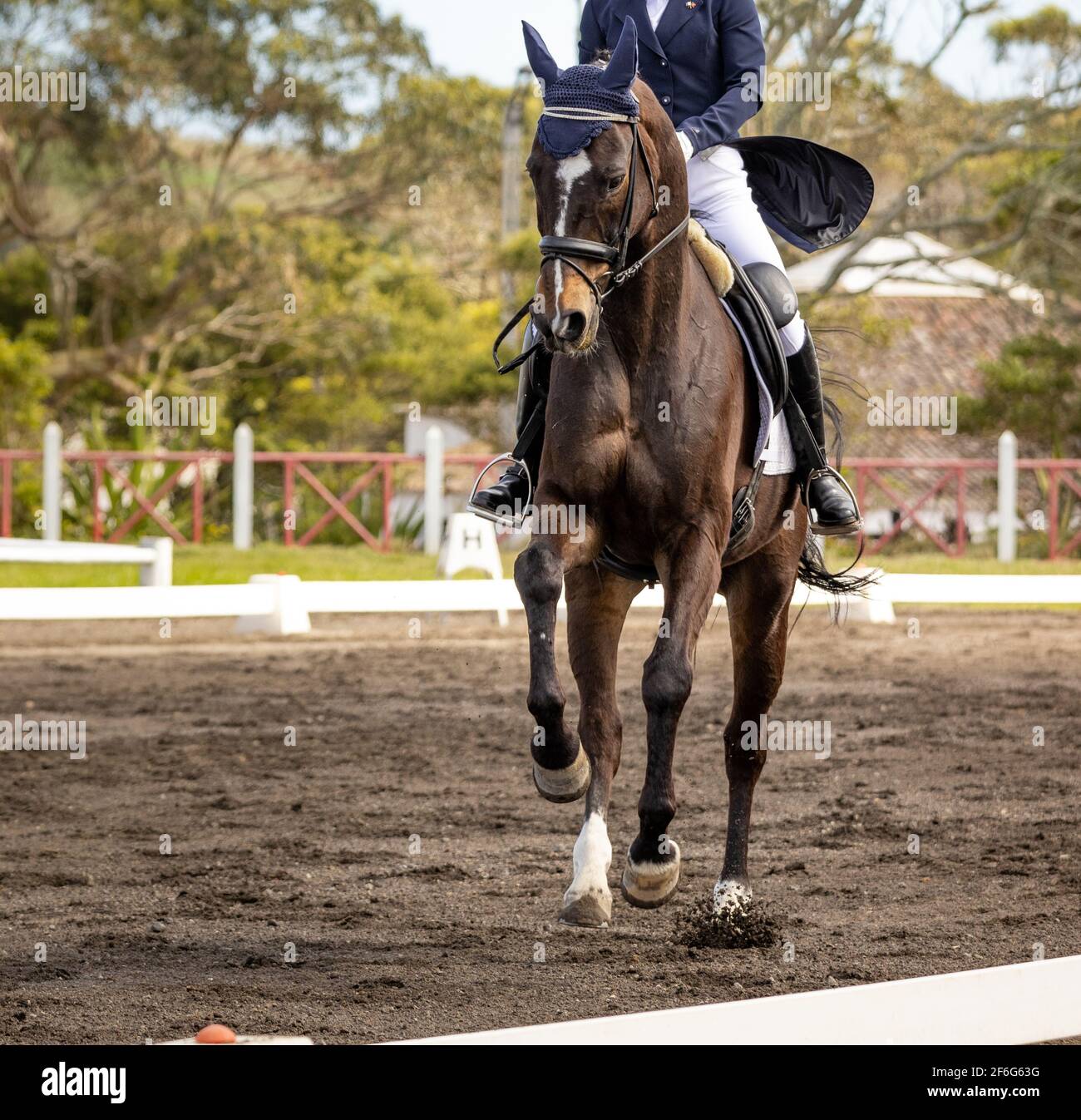 Dressage arena hi-res stock photography and images - Alamy