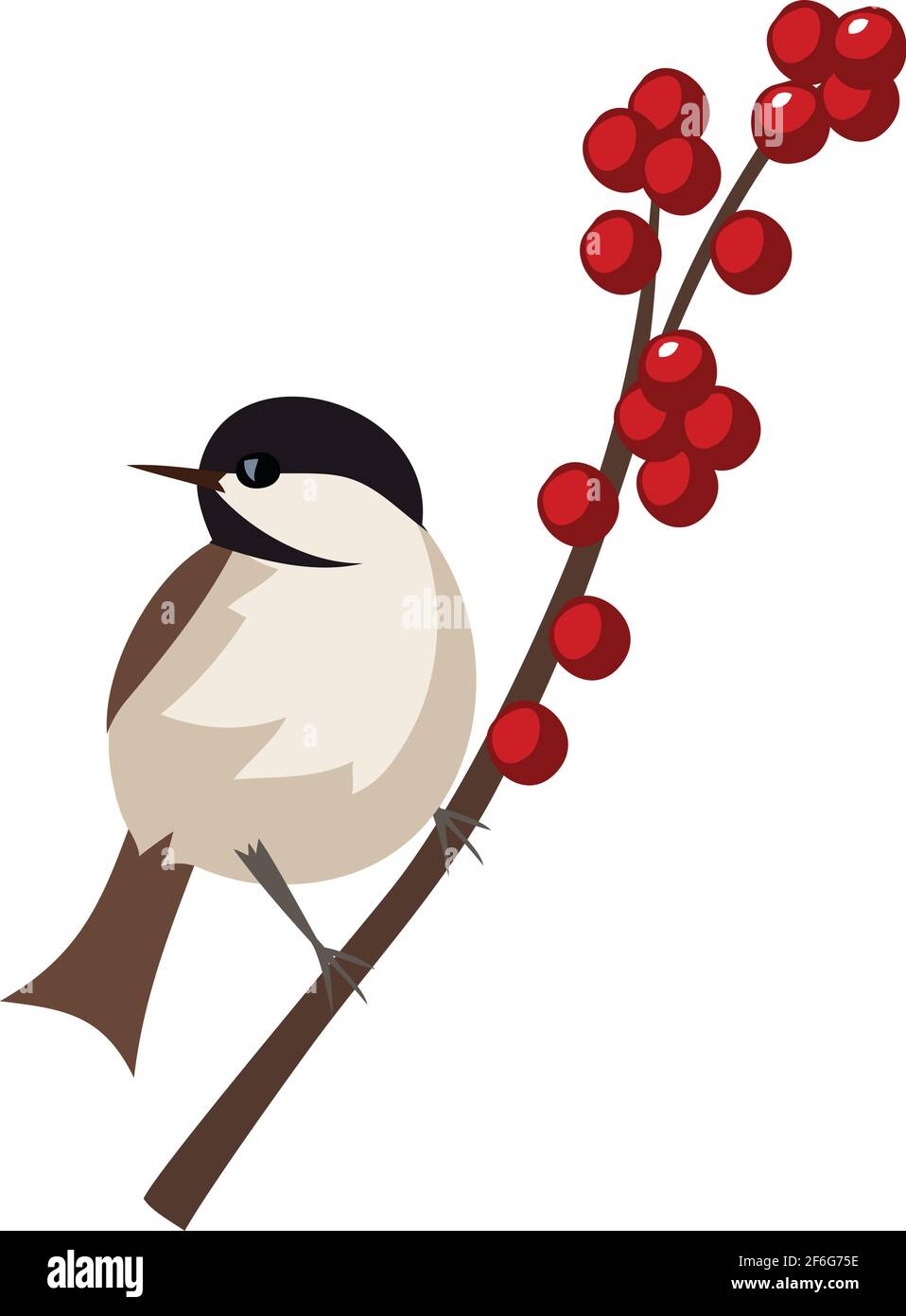 Cartoon bird sitting on wild berry plant vector illustration isolated ...