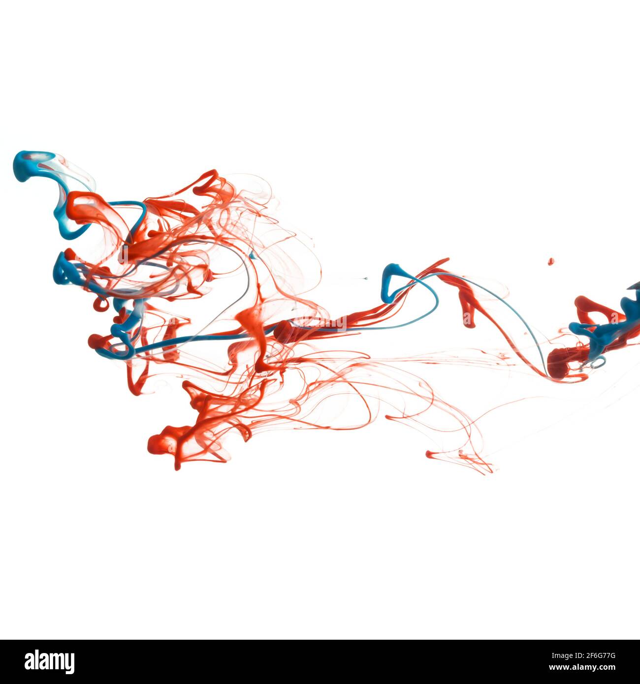 Red and blue color ink paint abstract pattern in water liquid Stock ...