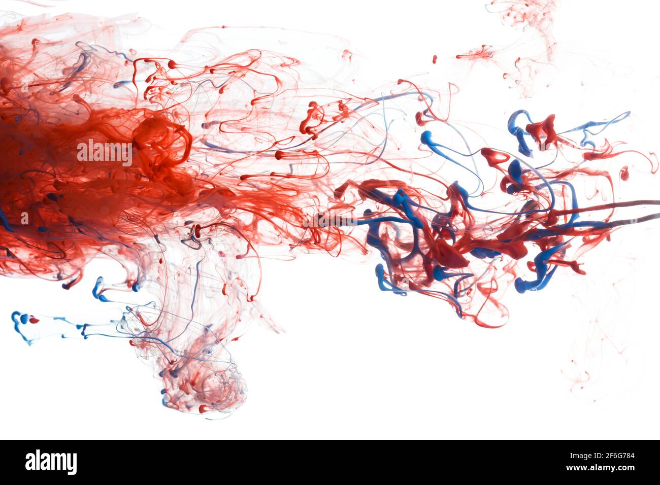 Red and blue color ink paint abstract pattern in water liquid Stock ...