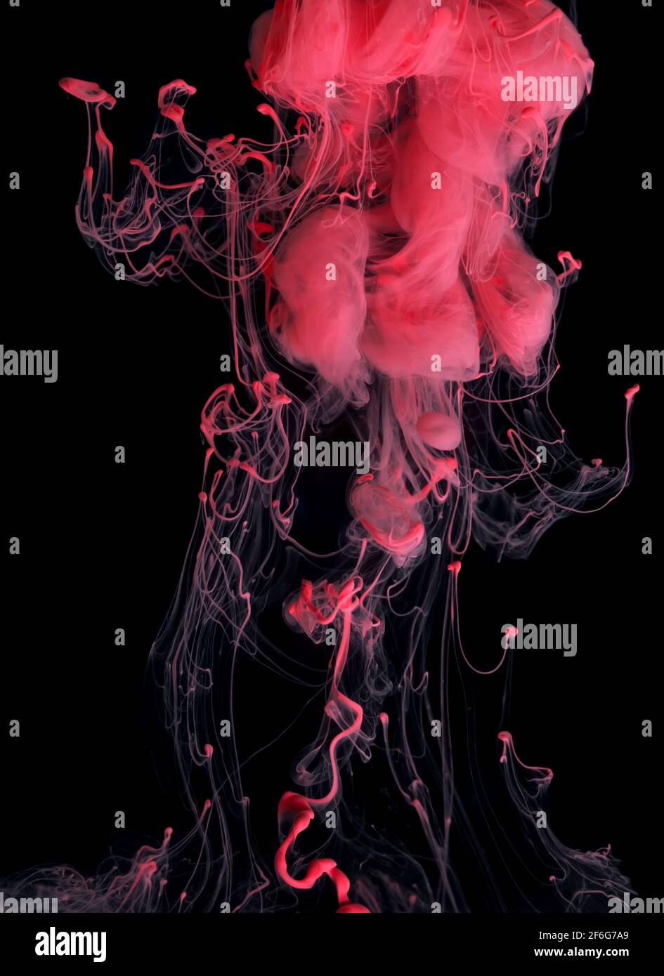 Red color ink paint abstract pattern in water liquid Stock Photo - Alamy