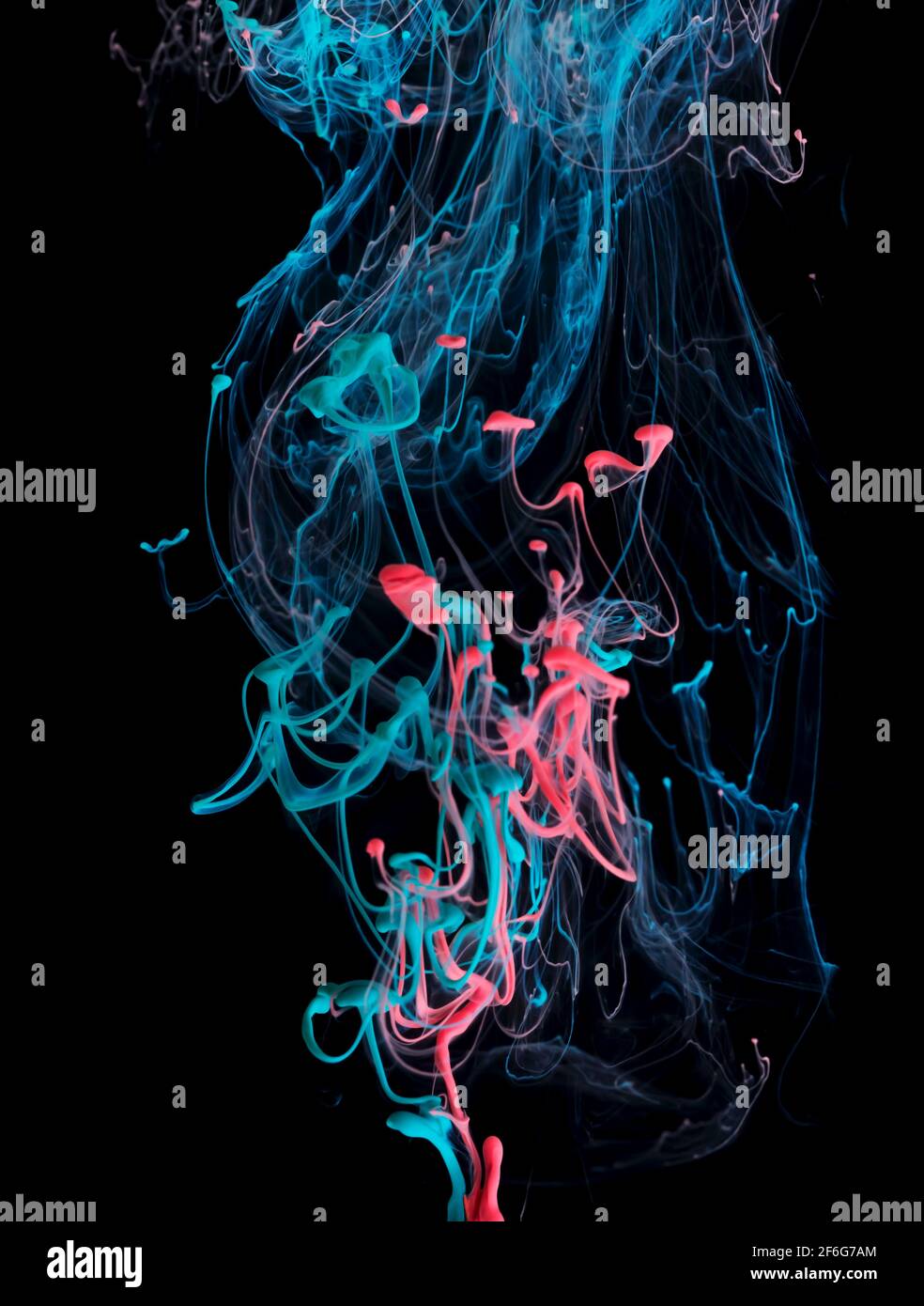 Red and blue color ink paint abstract pattern in water liquid Stock ...