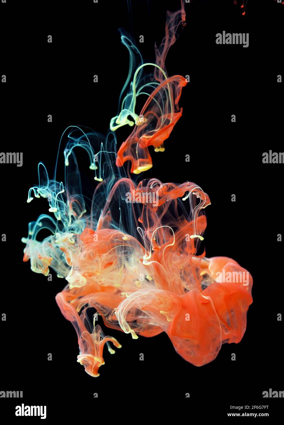 Red and yellow color ink paint abstract pattern in water liquid Stock ...