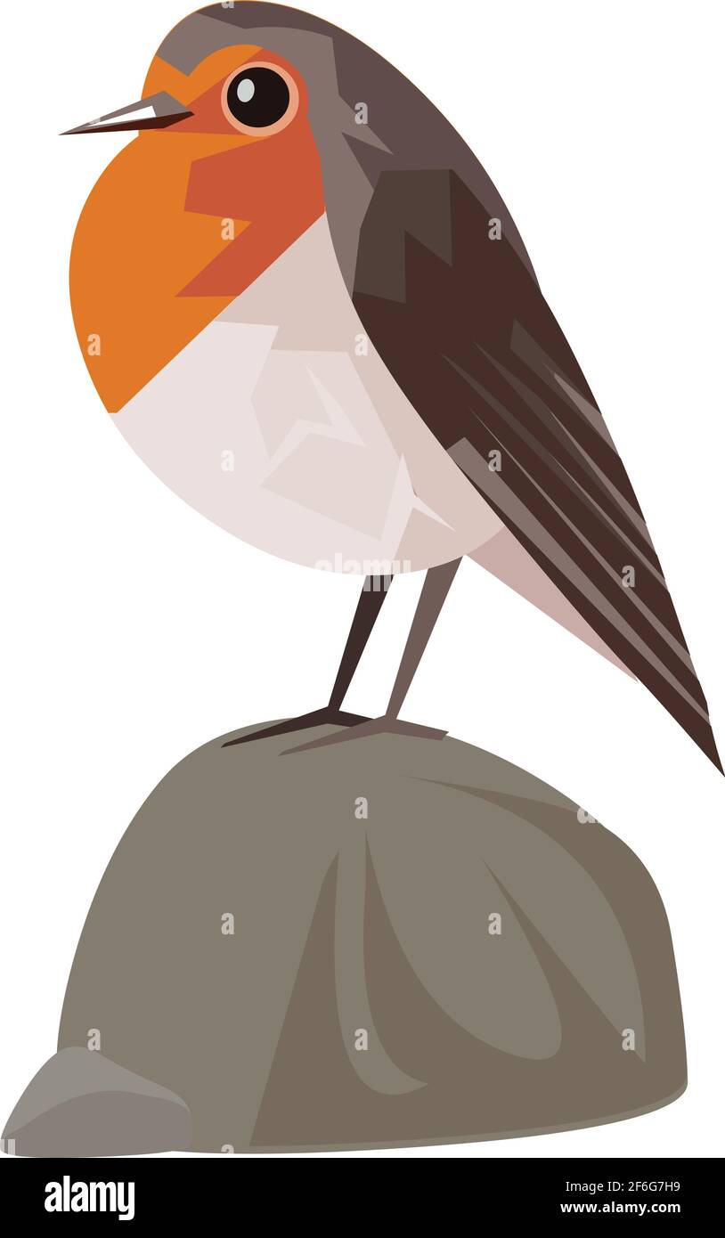 Robin bird vector illustration isolated on white background Stock ...