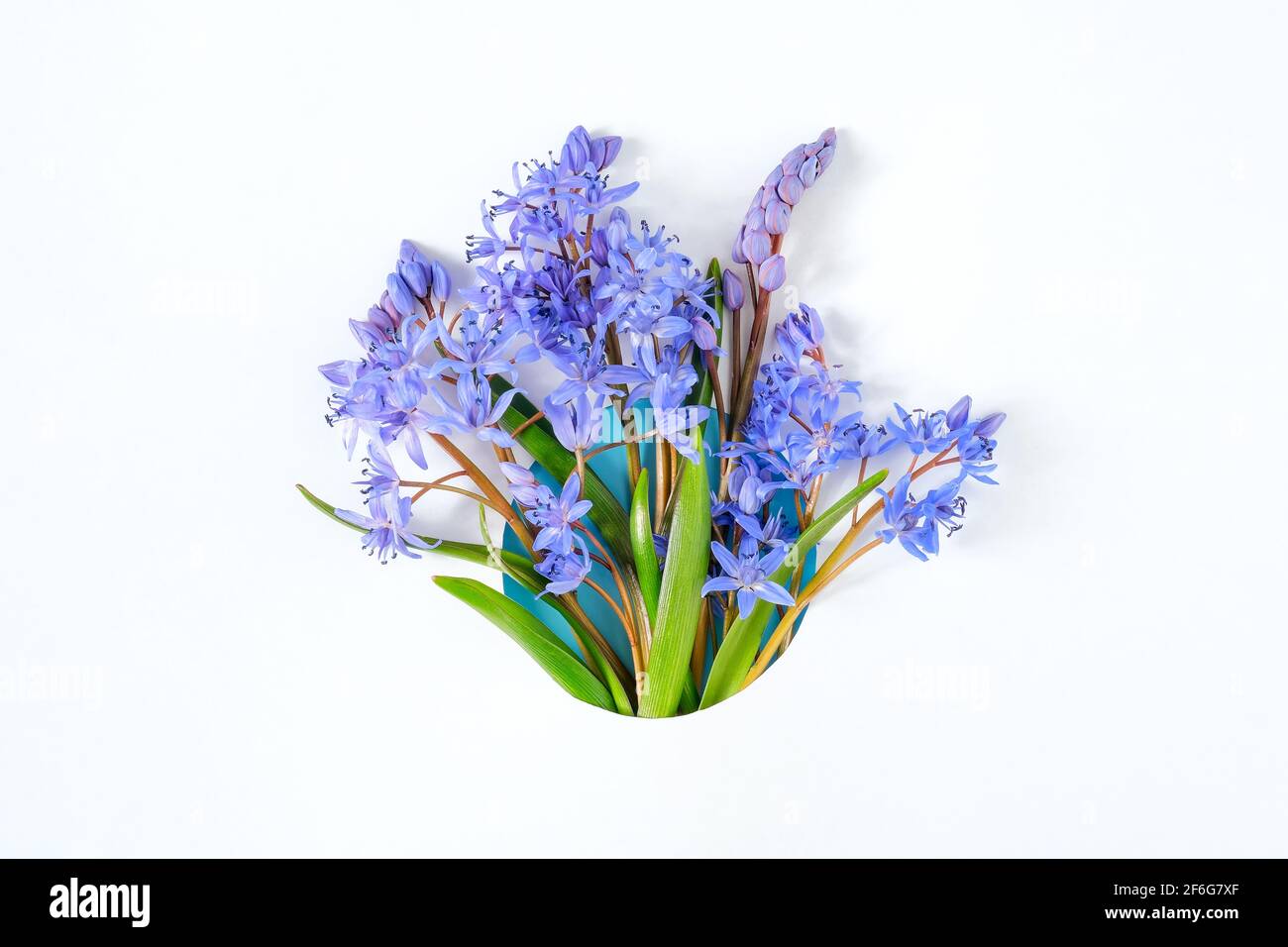 Frame border made with snowdrop flowers on white background Stock Photo ...
