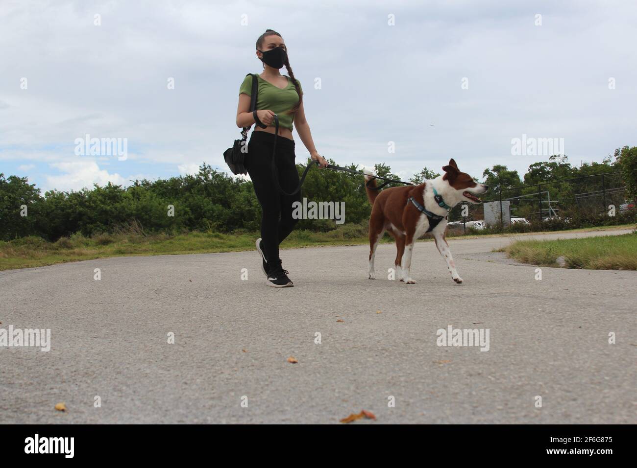 Woman running with her dog in the new normal Stock Photo - Alamy