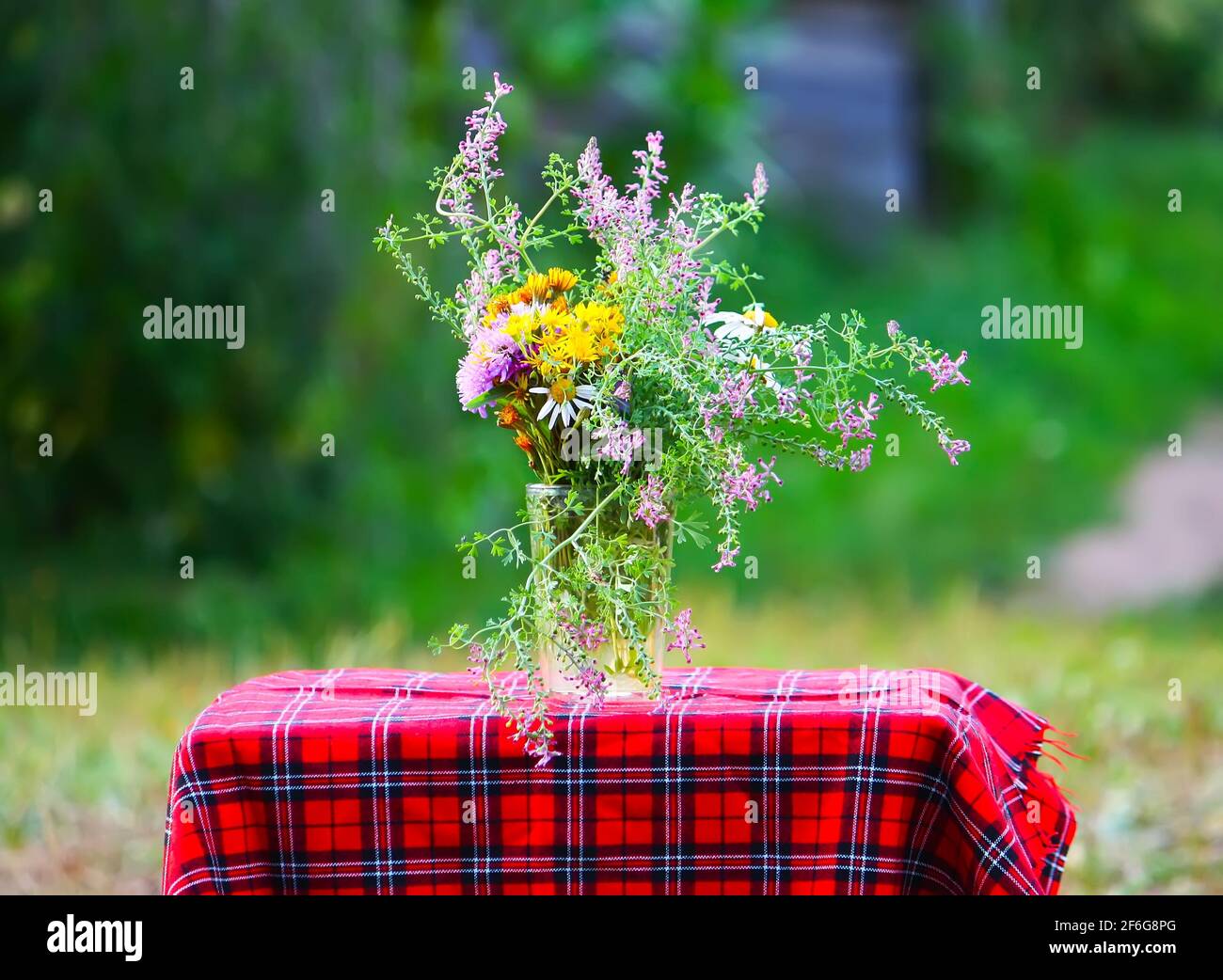 Bright little bouquet of spring fresh flowers Stock Photo - Alamy
