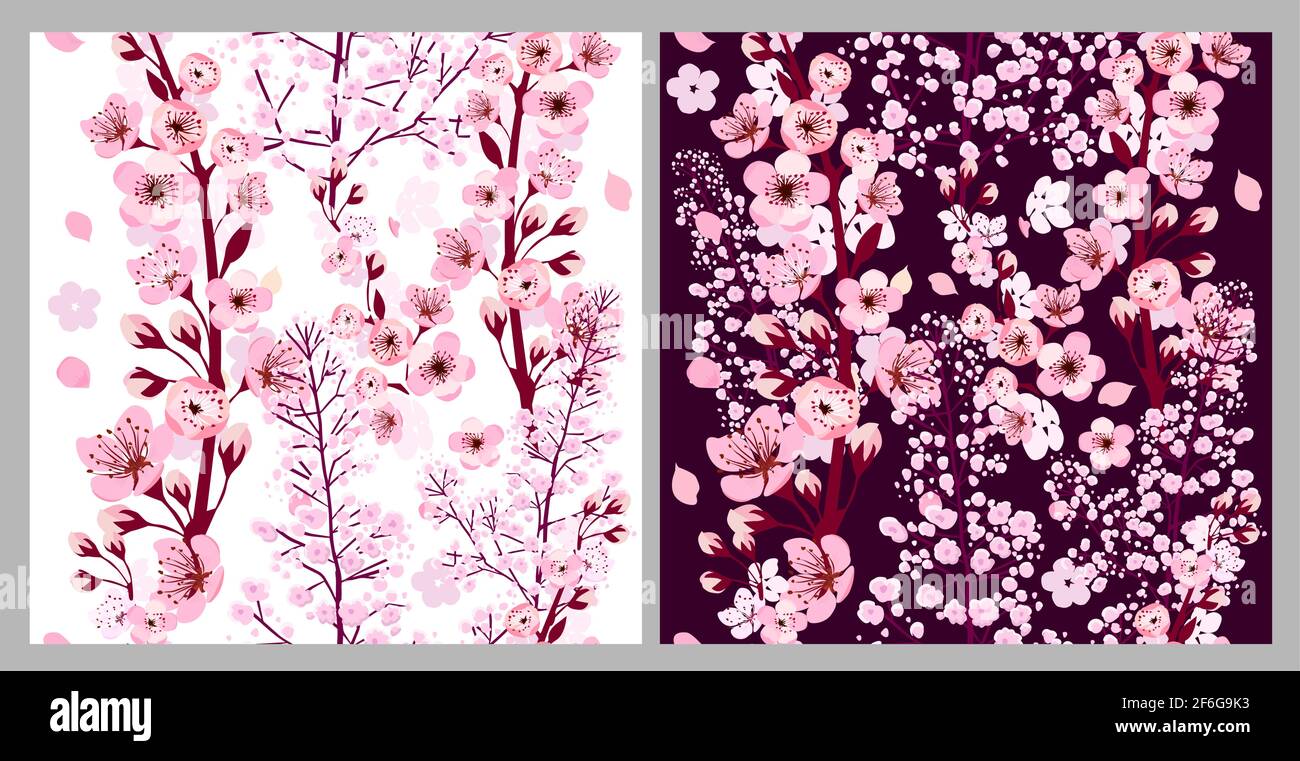 A seamless background of sakura. Vector illustration Stock Vector Image ...