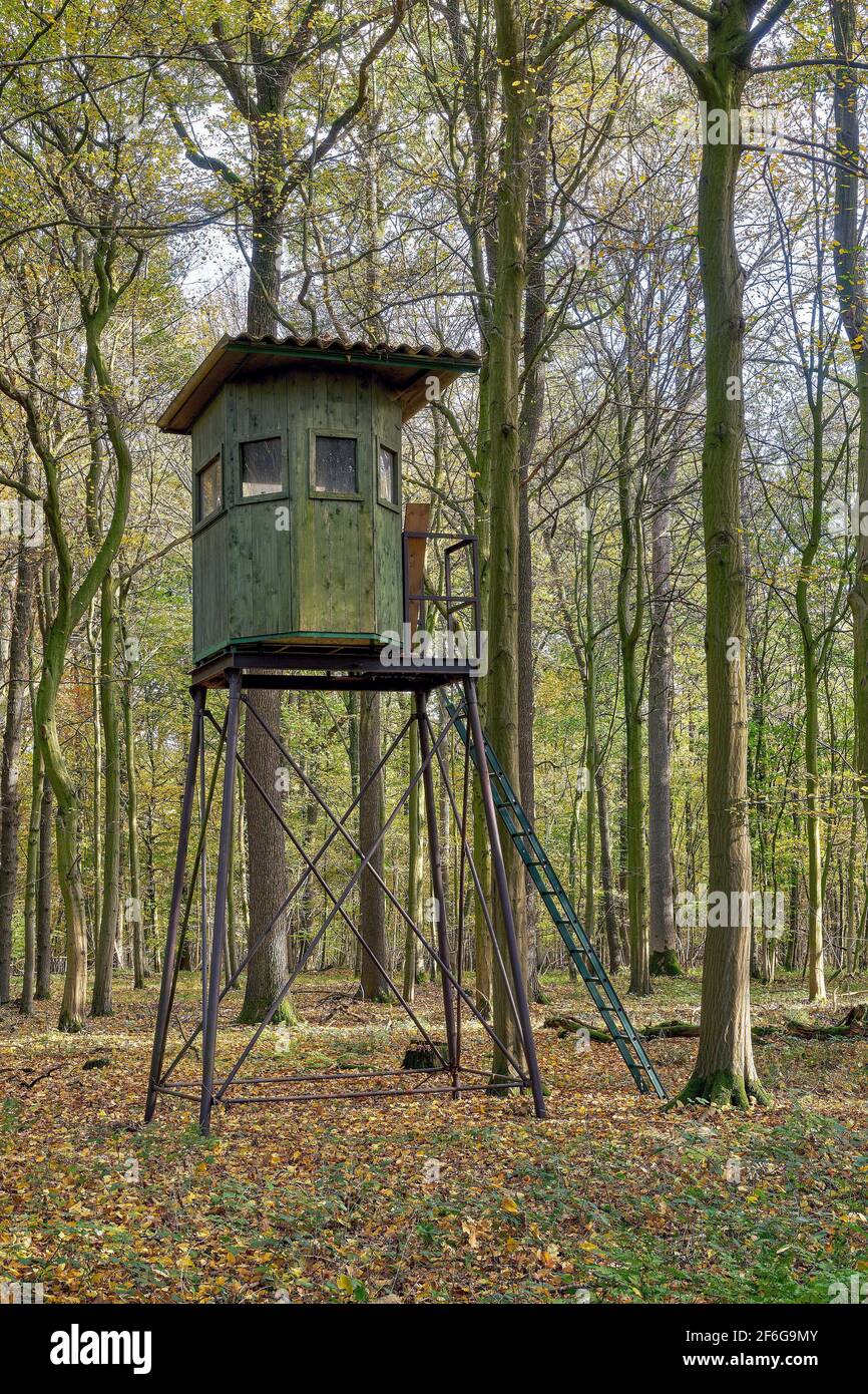 Wooden lookout tower for hunting in autumn Stock Photo - Alamy