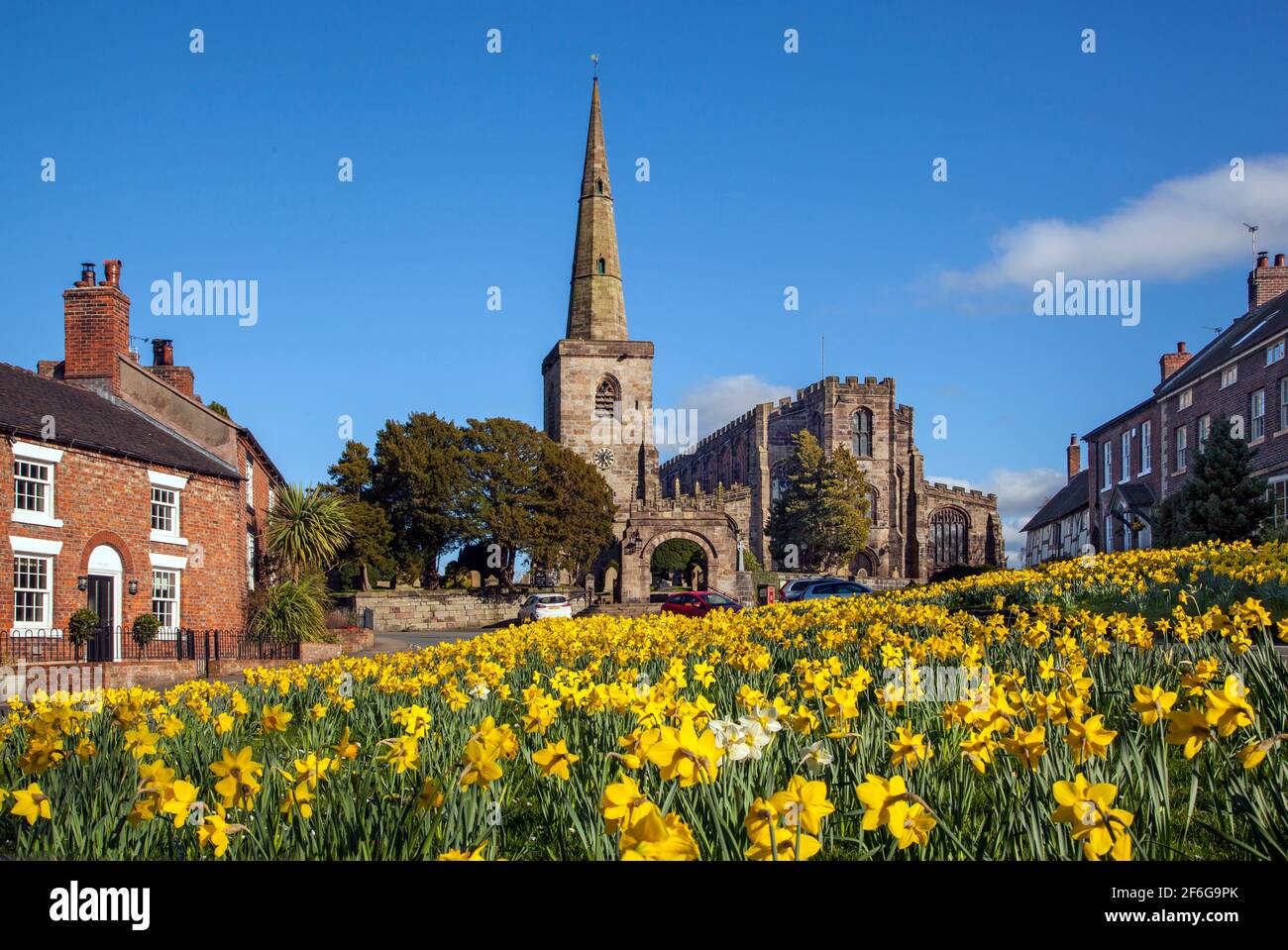 England church daffodils hi-res stock photography and images - Alamy
