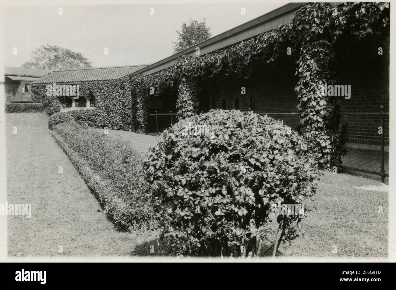 The Garden Director Stock Photo - Alamy
