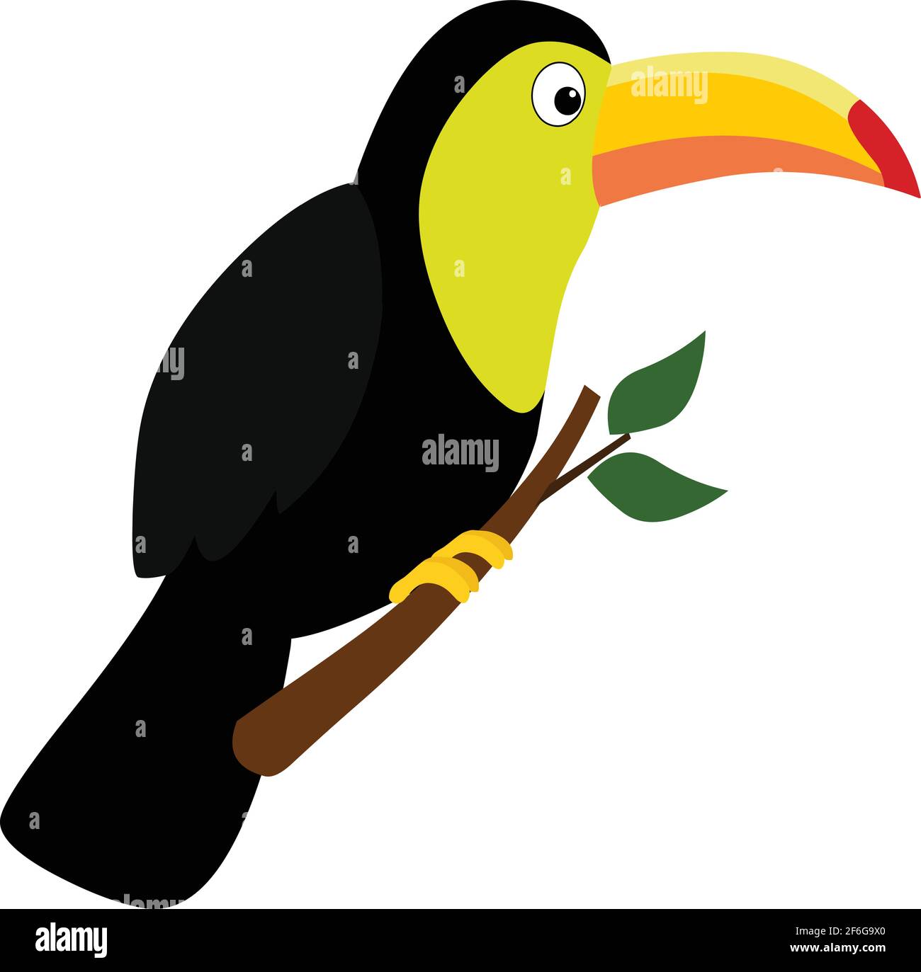 Toucan bird cartoon illustration vector isolated on white background ...