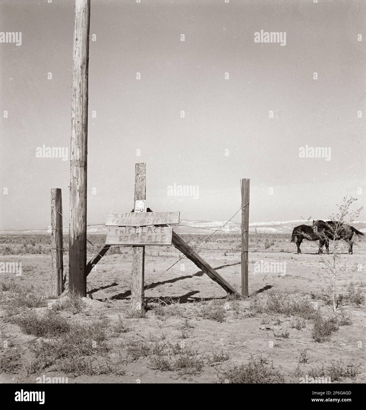 Farm Foreclosure Great Depression