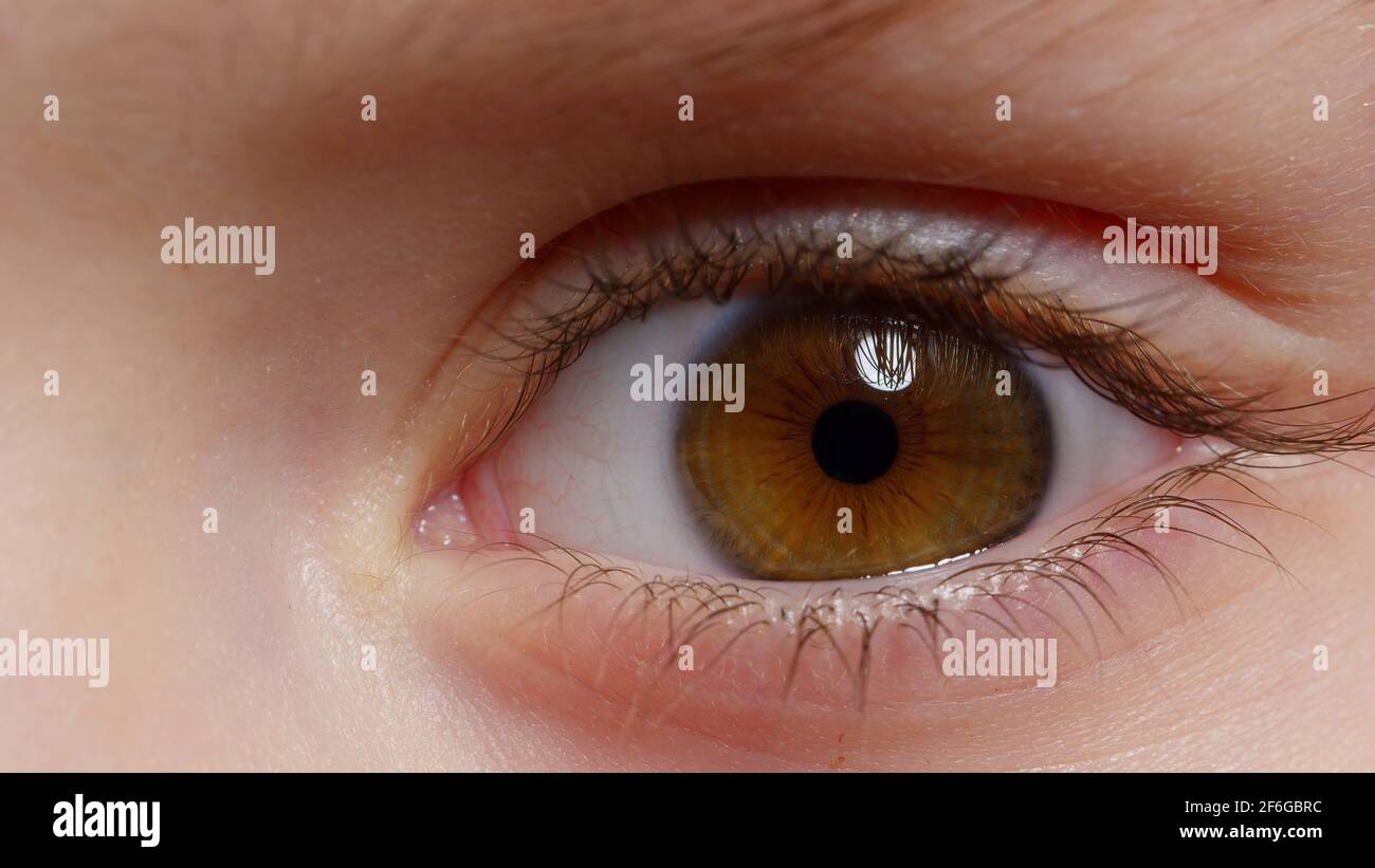 Human brown eye iris opening pupil, eyeball of child looking intro ...