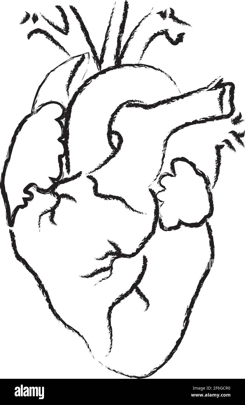 Hand drawn heart Stock Vector Image & Art - Alamy