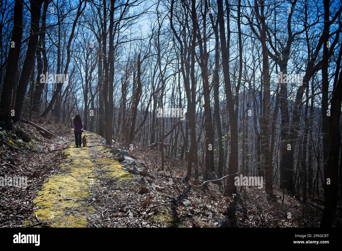 UNITED STATES - 03-31-21: Wolf Gap Recreation Area was once the site of ...