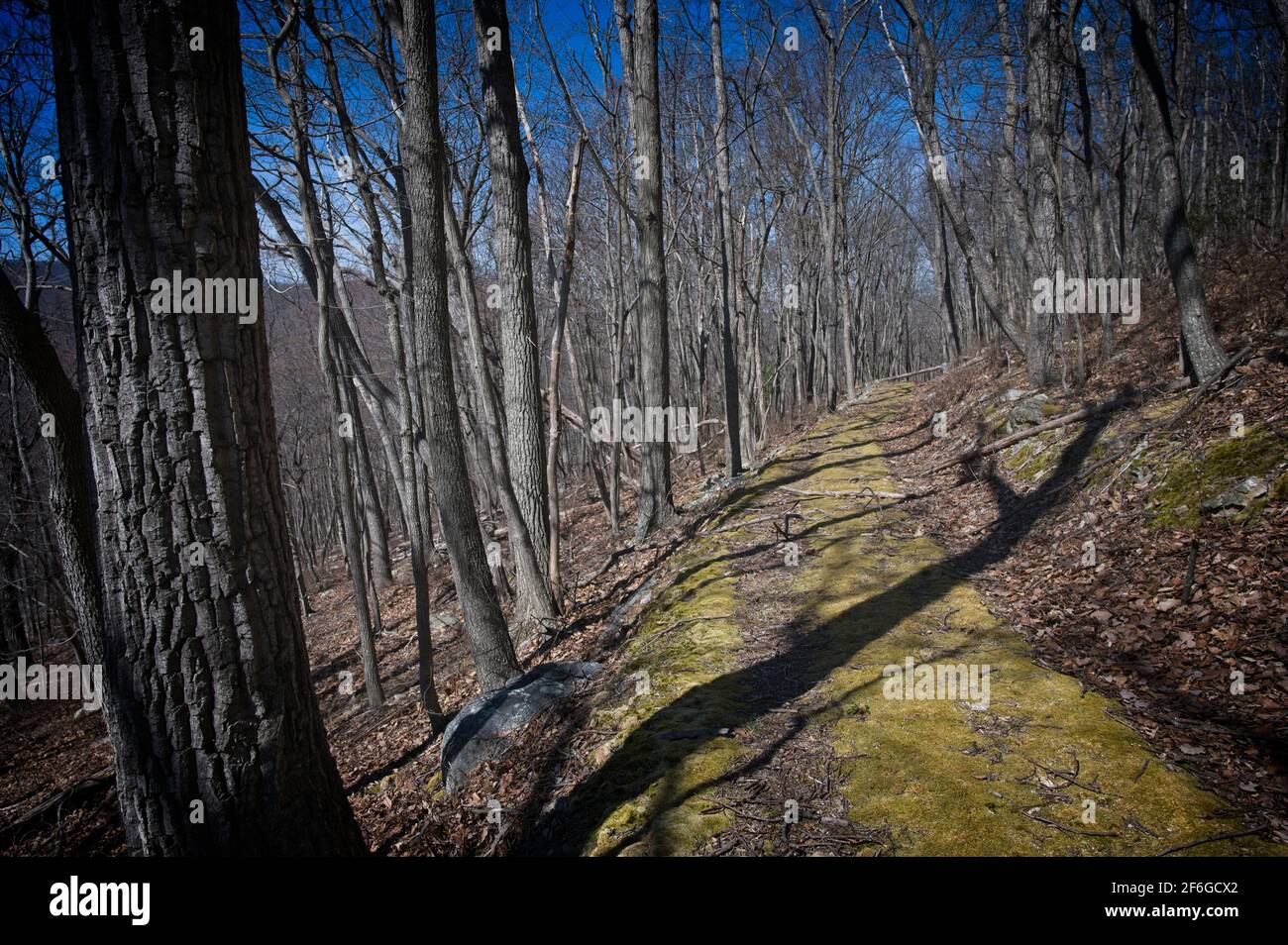 UNITED STATES - 03-31-21: Wolf Gap Recreation Area was once the site of ...