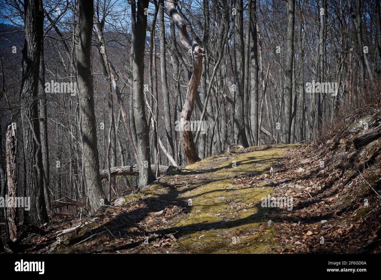UNITED STATES - 03-31-21: Wolf Gap Recreation Area was once the site of ...