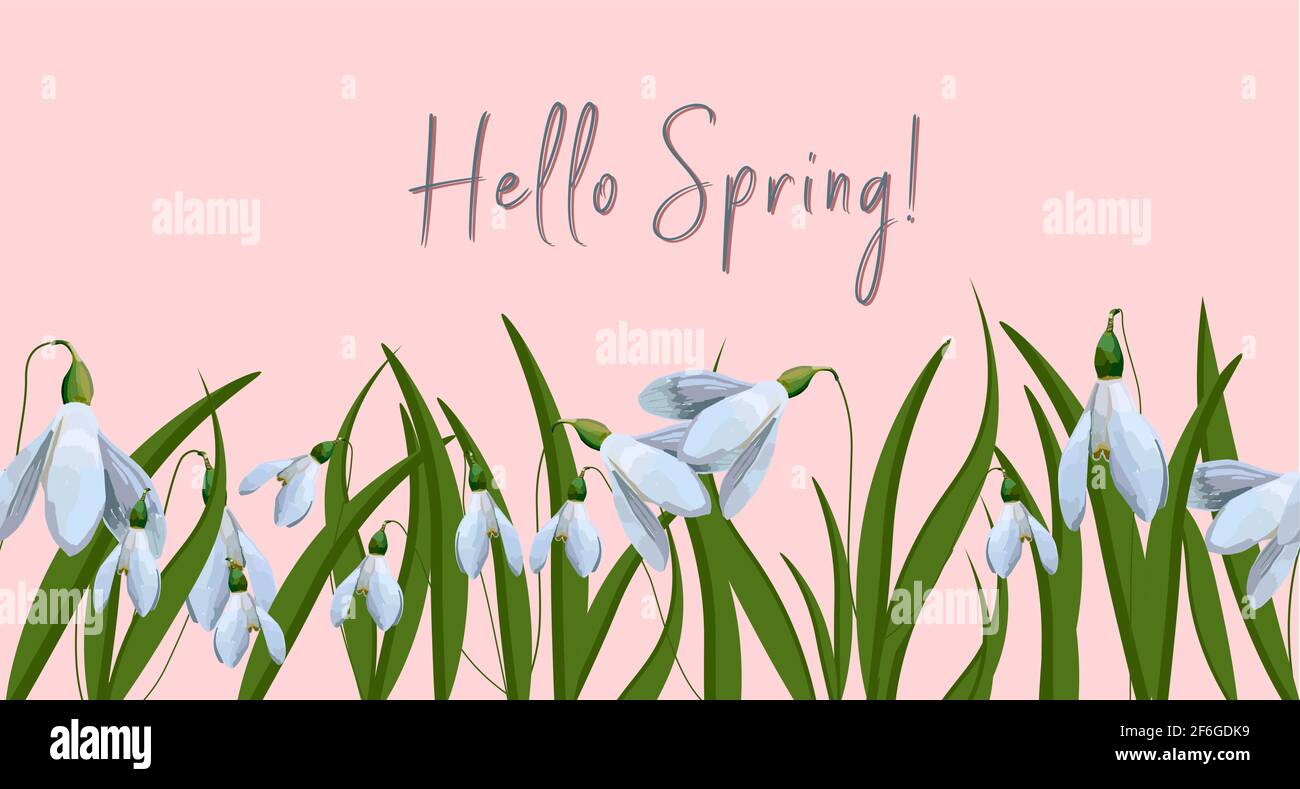 Tulip top view Stock Vector Images - Alamy