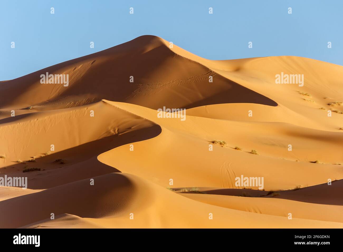 landscape of golden sand dune in sahara desert Stock Photo - Alamy