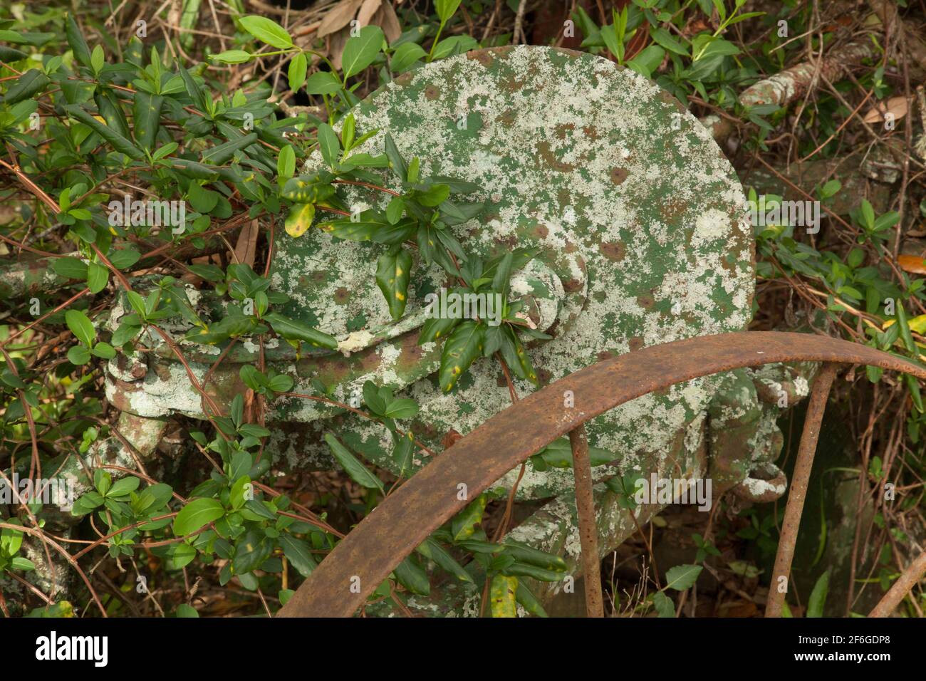 Old rusty farming equipment Stock Photo - Alamy