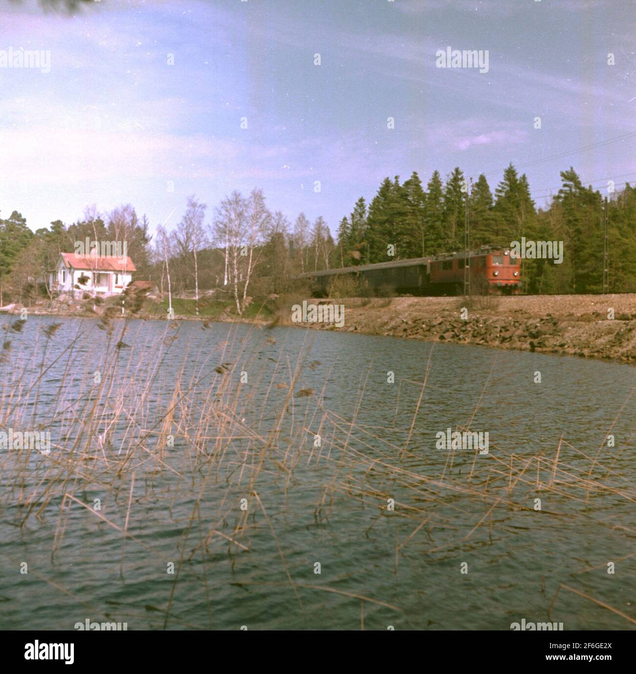 Train on the line. SJ F-Lok Stock Photo - Alamy