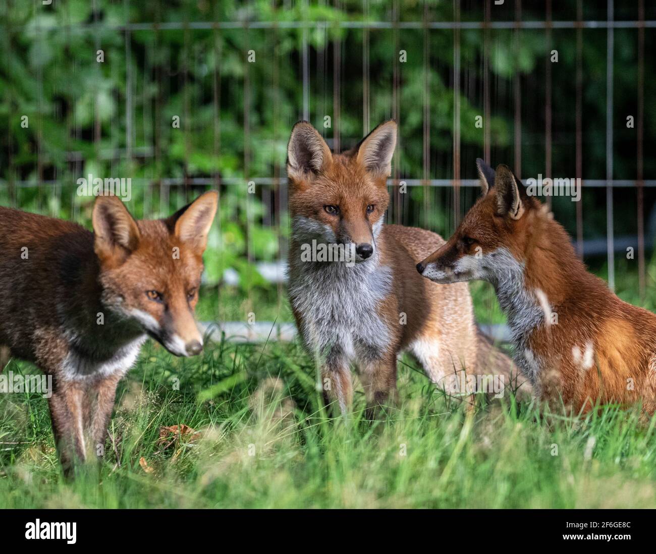 Aberdeen lockdown hi-res stock photography and images - Alamy