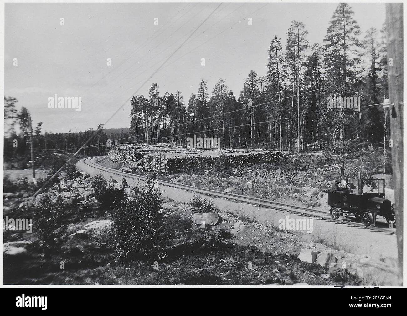 Pulpwood hi-res stock photography and images - Alamy