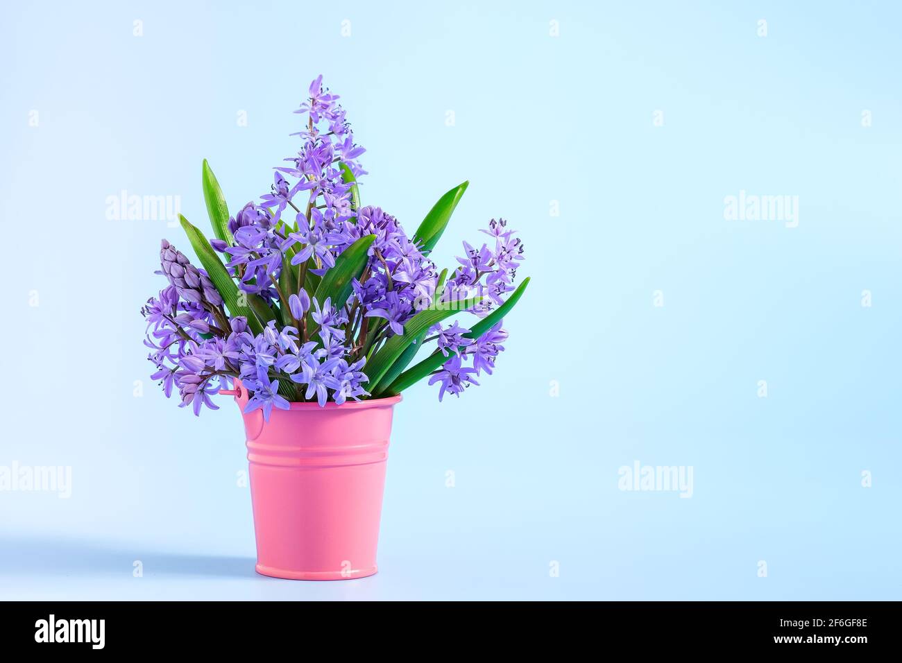 Flower bucket hi-res stock photography and images - Alamy