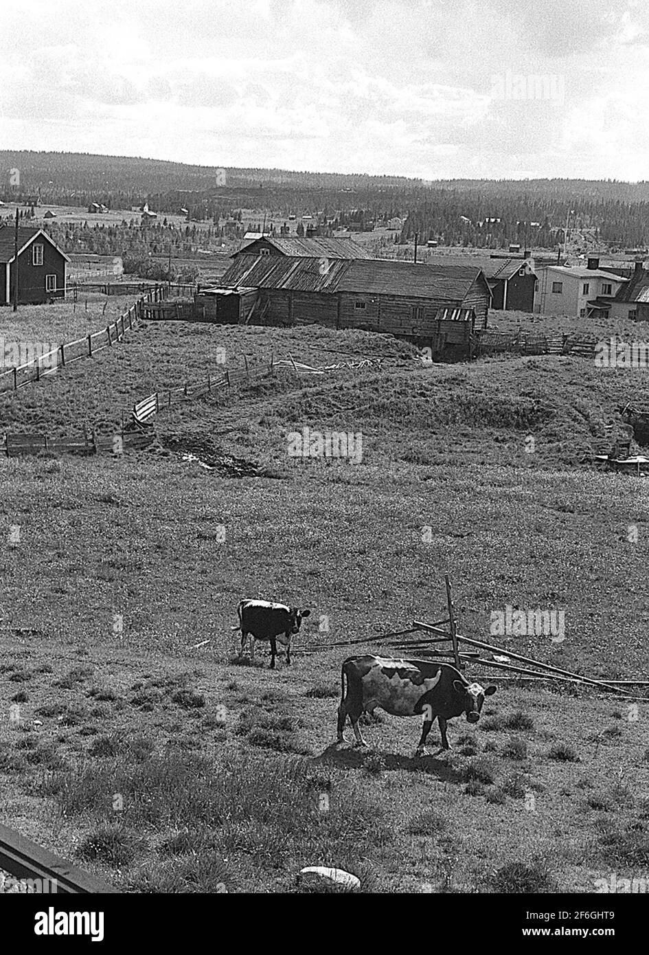 Mental health symptoms illness Black and White Stock Photos & Images ...