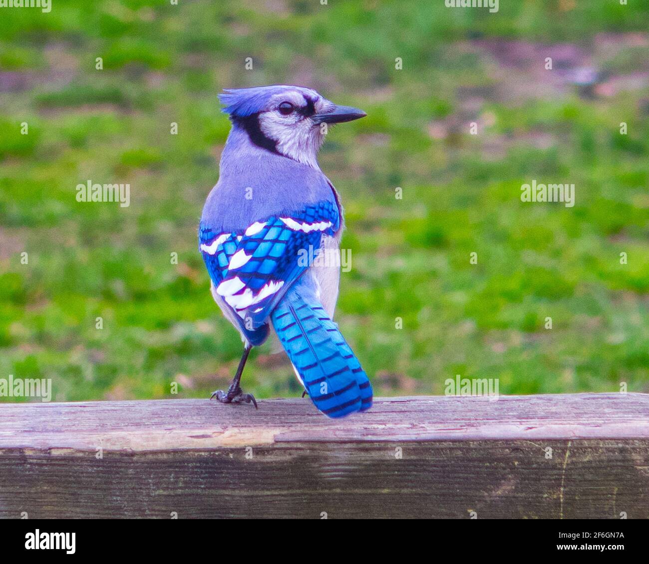 2021 036_ jpg hi-res stock photography and images - Alamy