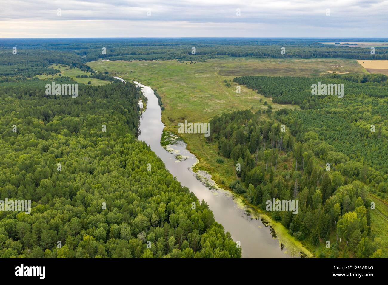 Drone aerial view river landscape. Summer landscape Stock Photo - Alamy