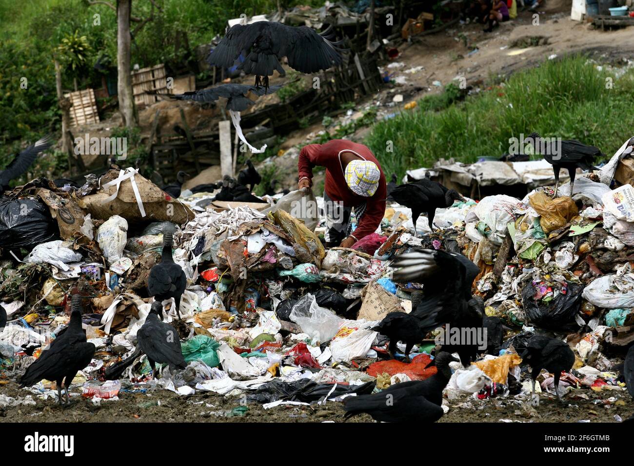 itabuna, bahia, brazil - february 14, 2012: people are seen digging ...