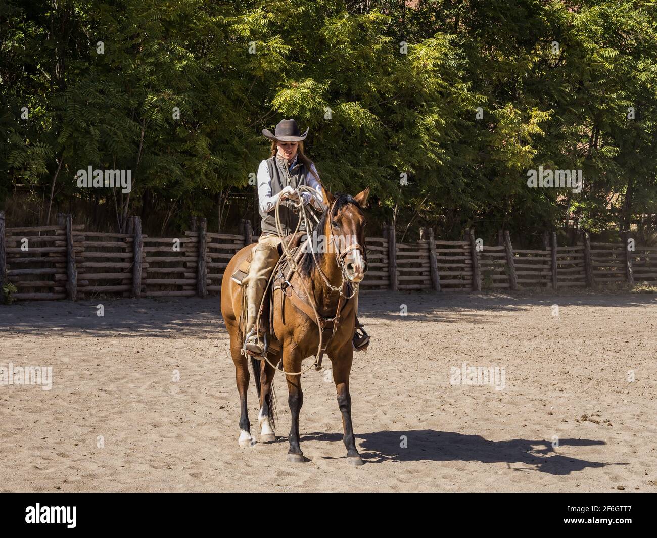 A cowgirl wrangler prepares her lariat in a corral on a ranch near Moab ...