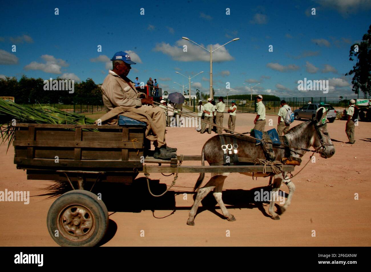 Overloaded donkey hi-res stock photography and images - Alamy
