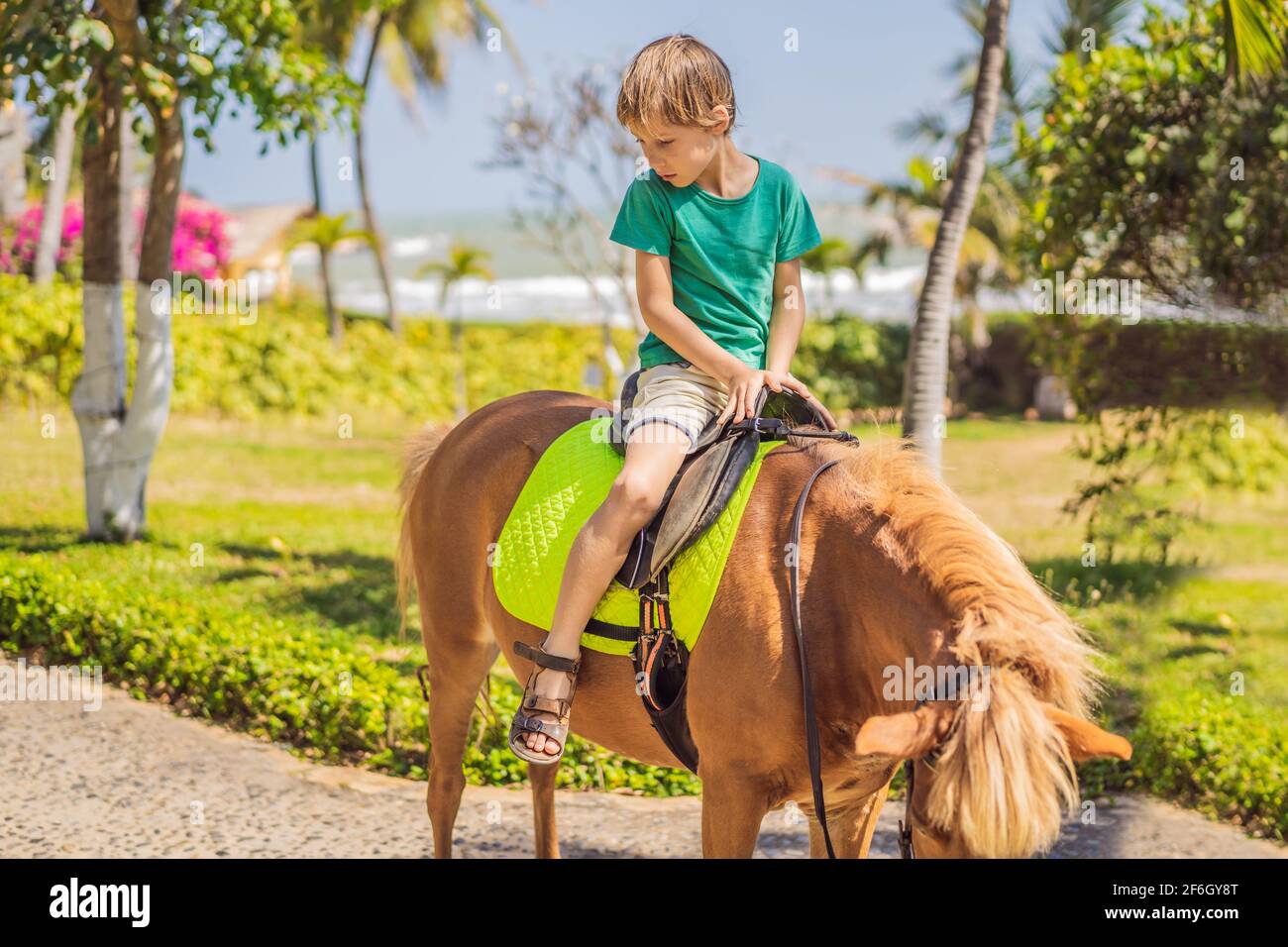 Smiling, young boy ride a pony horse. Horseback riding in a tropical ...
