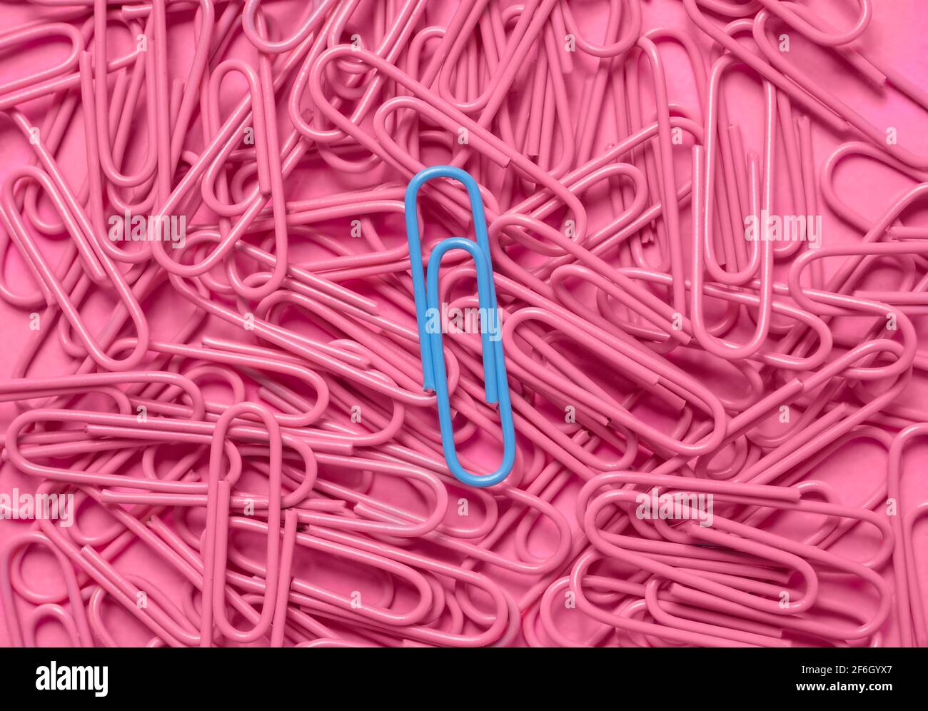 Blue paper clip on pile of pink paper clips Stock Photo - Alamy